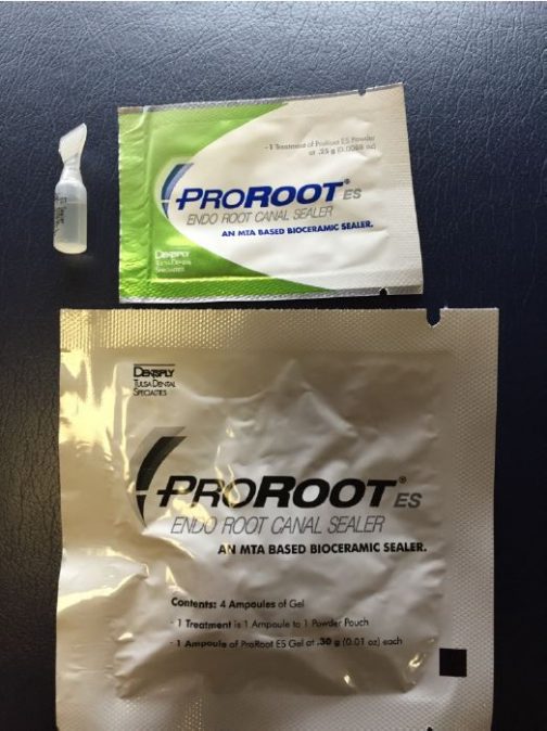 PROROOT ES Demostration Root Canal Academy Reid Pullen